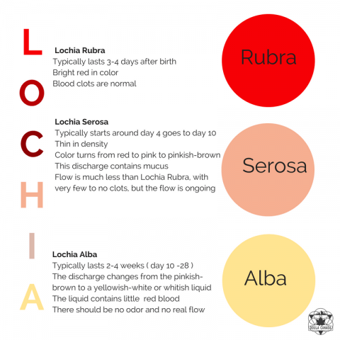 DARAH HAID – 7 Warna Gambaran Kesihatan Wanita | IsteriSihat.Com.My